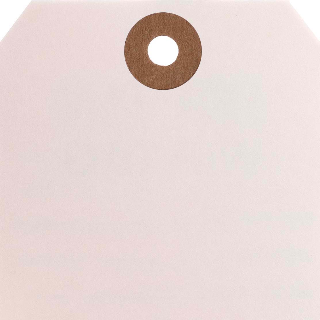 Blank Tags Ready to Use - Advantag Canada